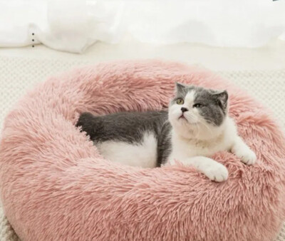 Cat Bed Size Small Pink Fluffy New In Package | eBay