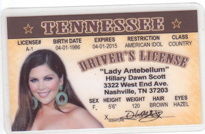 Lady Antebellum fun ID card Drivers License Hillary Dawn Scott | eBay