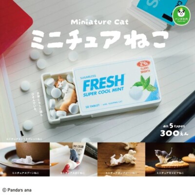 miniature cat Complete Set 5 Gashapon capsule toy Gacha JAPAN JP NEW | eBay