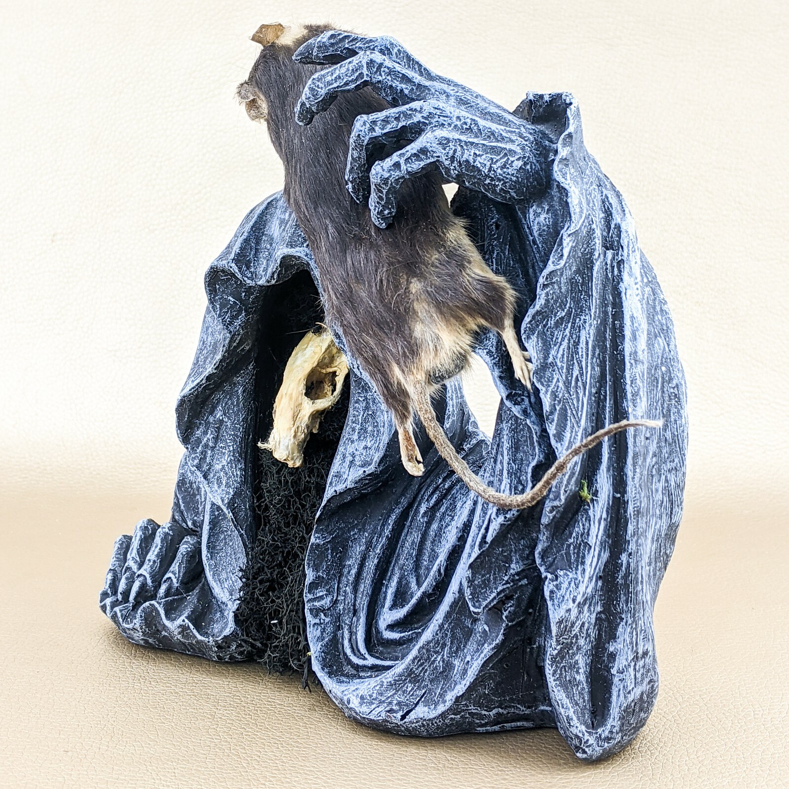 Real Rat skull & rat Grim Reaper display Taxidermy Oddities Curiosities ...