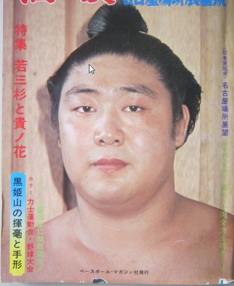 Sumo Wakamisugi 1977 Nagoya Match Signed with Handprint Black Mountain ...