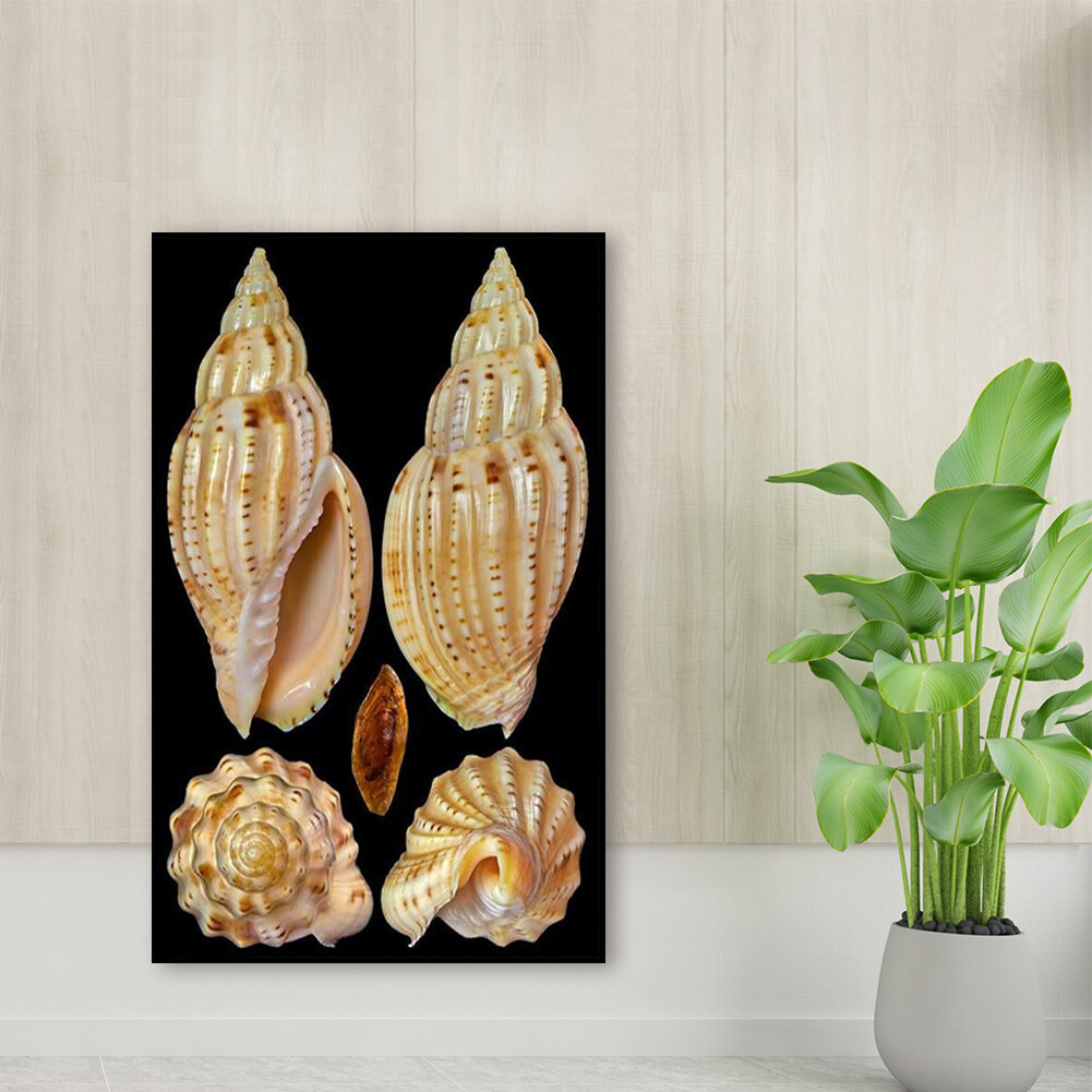 5D DIY Full Round Drill Diamond Painting Beach Shell Kit Home ...