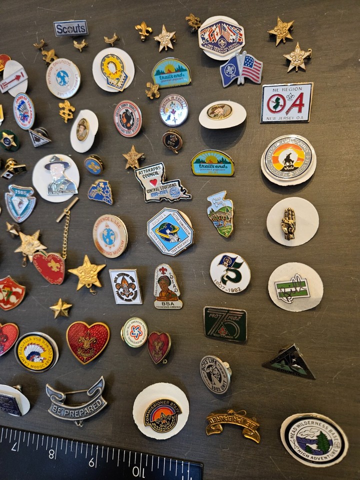 Huge Lot of 97 Assorted Boy Scouts of America Collectible Council Pins ...