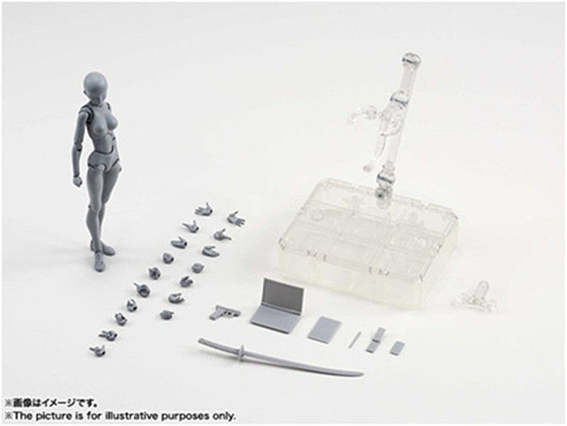 Buy Figma She/he S.H.Figuarts SHF Body kun DX SET PVC Body-Chan DX ...