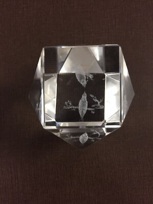 Crystal Paper Weight With Lazer Etched Birds On Limbs | eBay