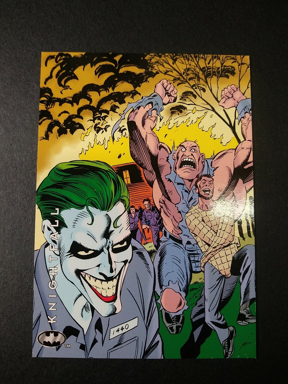 Batman Saga Of The Dark Knight 1994 Skybox Card #73 Arkham Breakout | eBay