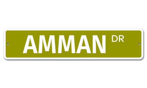 5098 SS Amman 4" x 18" Novelty Street Sign Aluminum | eBay