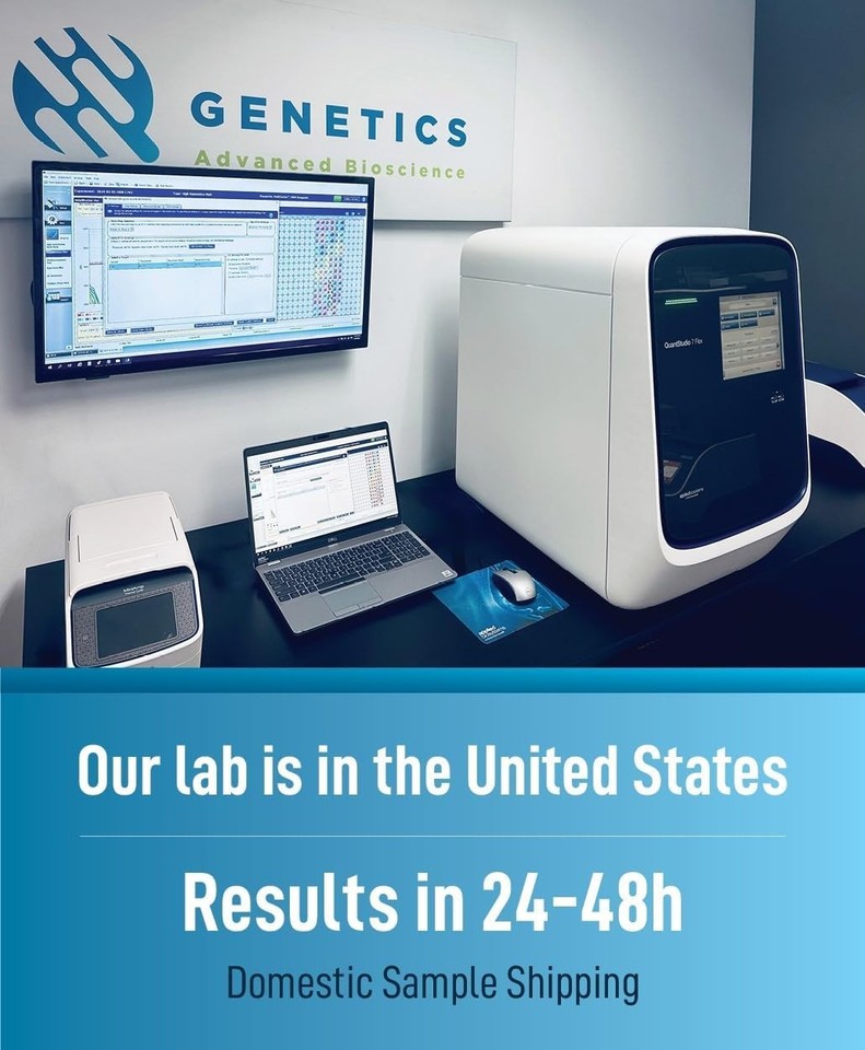 Bird DNA Gender Test Kit – Accurate Avian Sexing Using Feather or Blood ...