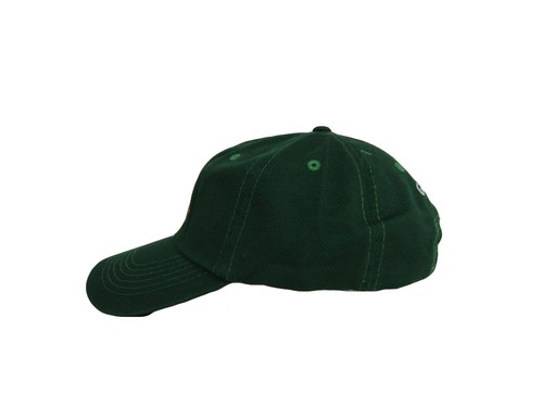 Dark Green Georgia Flag in State Baseball Cap Hat | eBay