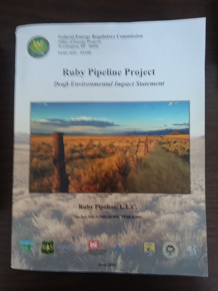 Ruby Pipeline Project Draft Environmental Statement | eBay