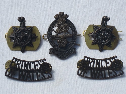 Princess of Wales`s Royal Regiment, 5-teiliges Abzeichen Set,PWRR | eBay