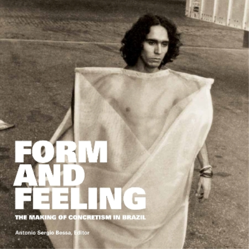Fernanda Lopes Form and Feeling (Paperback) (US IMPORT) | eBay