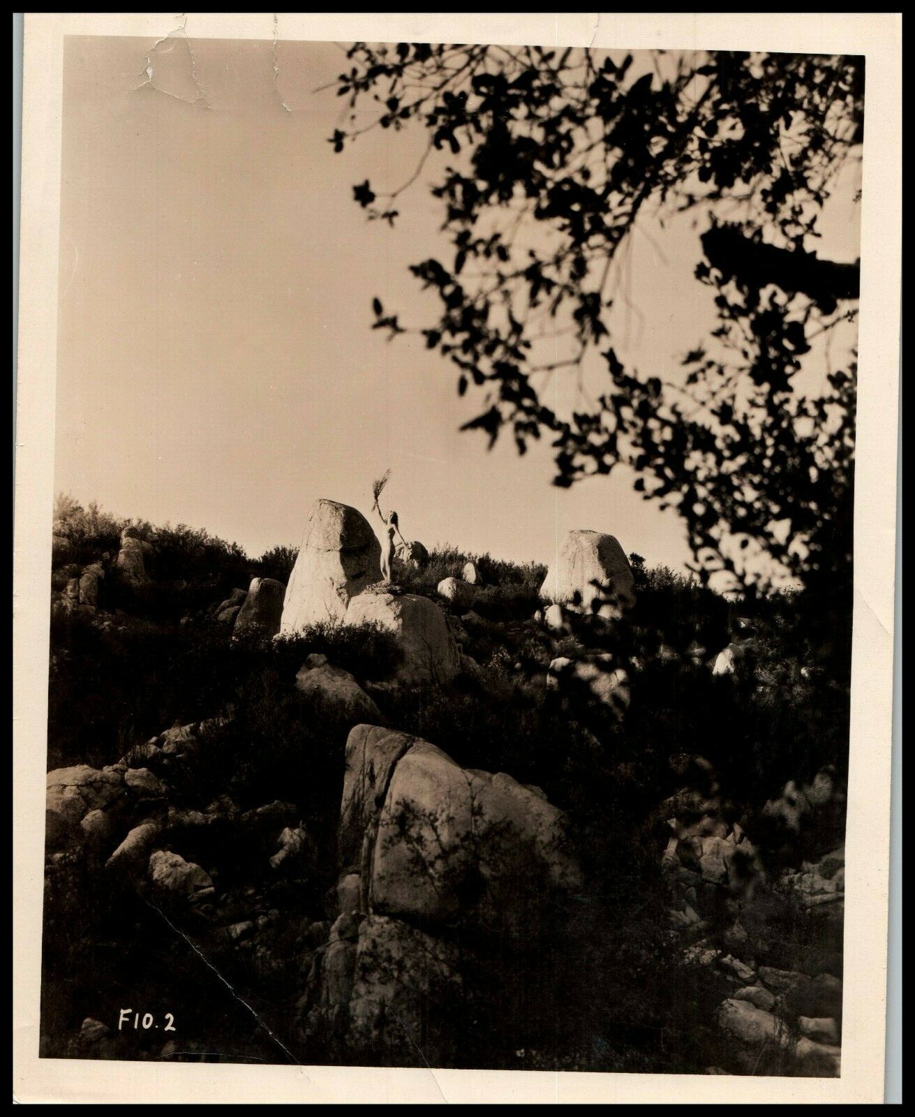 1920s Original EDWIN BOWER HESSER Art Deco Female Nude Woman Photo 546 ...