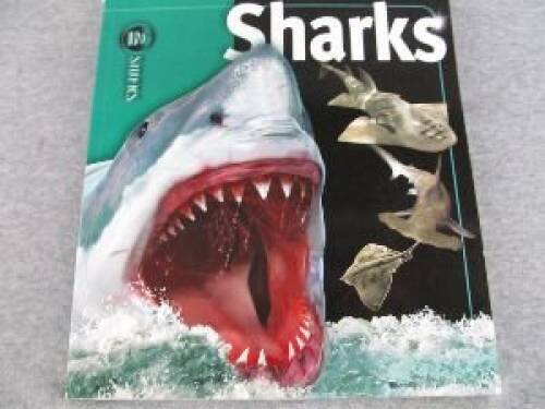 Sharks (Insiders (Simon and Schuster)) Paperback - Paperback By NA ...