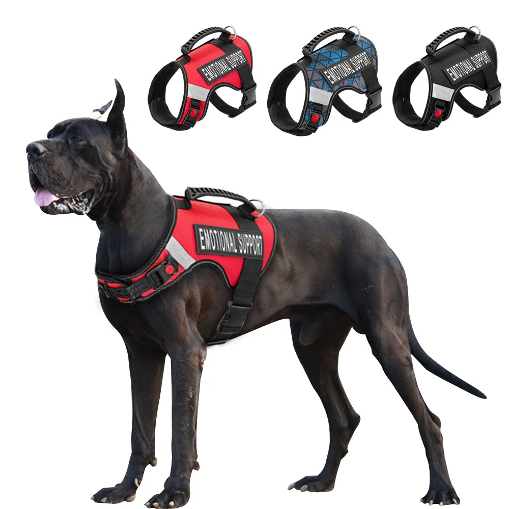 Esa Dog Harness