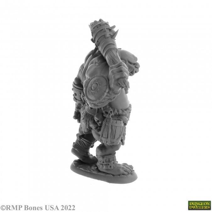 OGRE GUARD Reaper Miniatures Bones USA Dungeon Dwellers REM07063 D&D | eBay