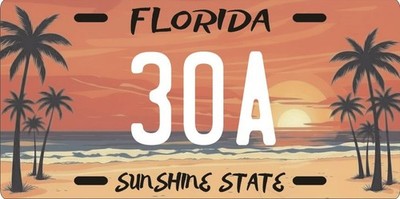 Beaches of 30A Florida Palm Tree Beach Aluminum License Plate | eBay