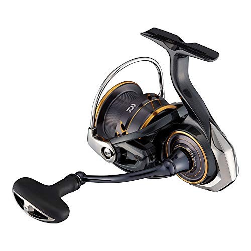 Daiwa Caldia LT Spinning Reel 21 2021 Model LT4000-CXH | eBay