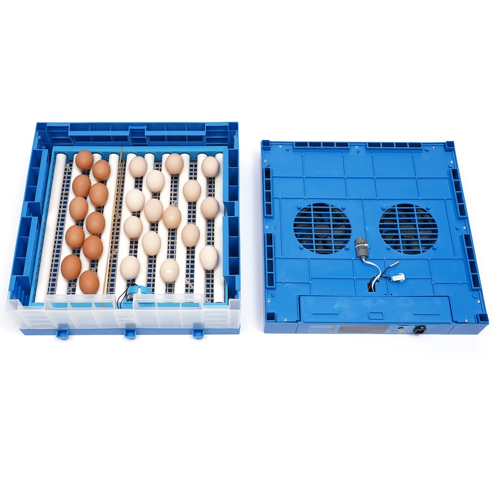 64 Eggs Incubator Automatic Digital Chicken Egg Hatcher Temperature ...