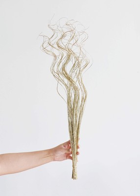 24-28 Gold Sparkle Curly Ting Ting Branch | eBay
