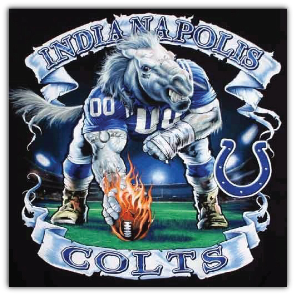 Indianapolis Colts NFL Football Logo Sport Car Bumper Sticker Decal ...