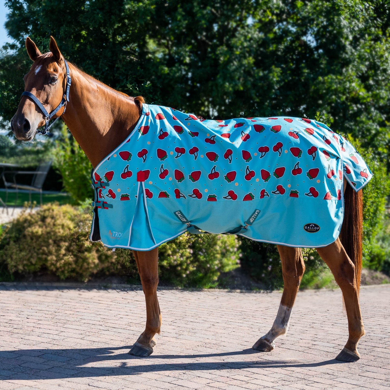 Gallop Lightweight 0g Horse Turnout Rug Standard Neck Monarch Berries ...