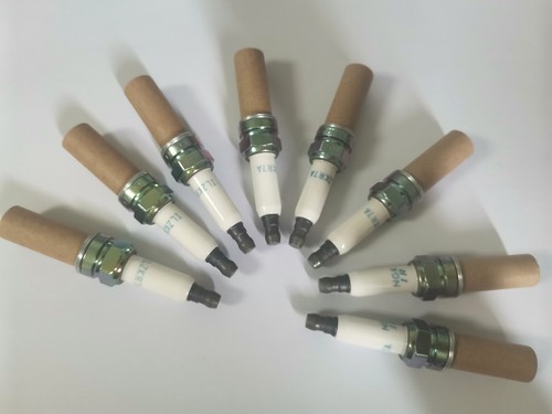 8x Spark Plugs 101905622 ILZKR7A for VW Touareg Phaeton Passat Audi Q7 ...