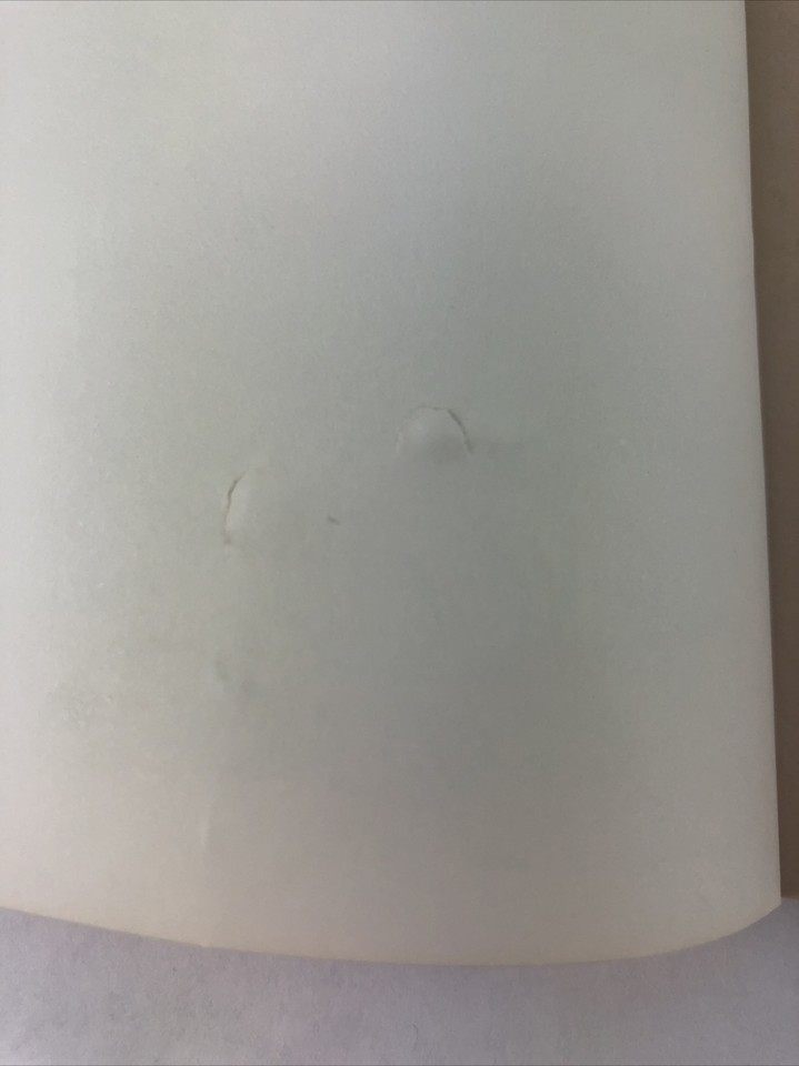 Golden DISNEY'S FLUPPY DOGS Color Activity Book 1986 Walt Disney ...