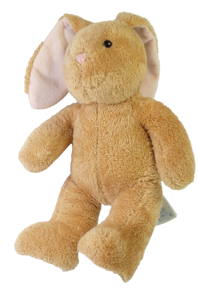 Build-A-Bear Workshop Stuffed Plush Bunny Rabbit | eBay
