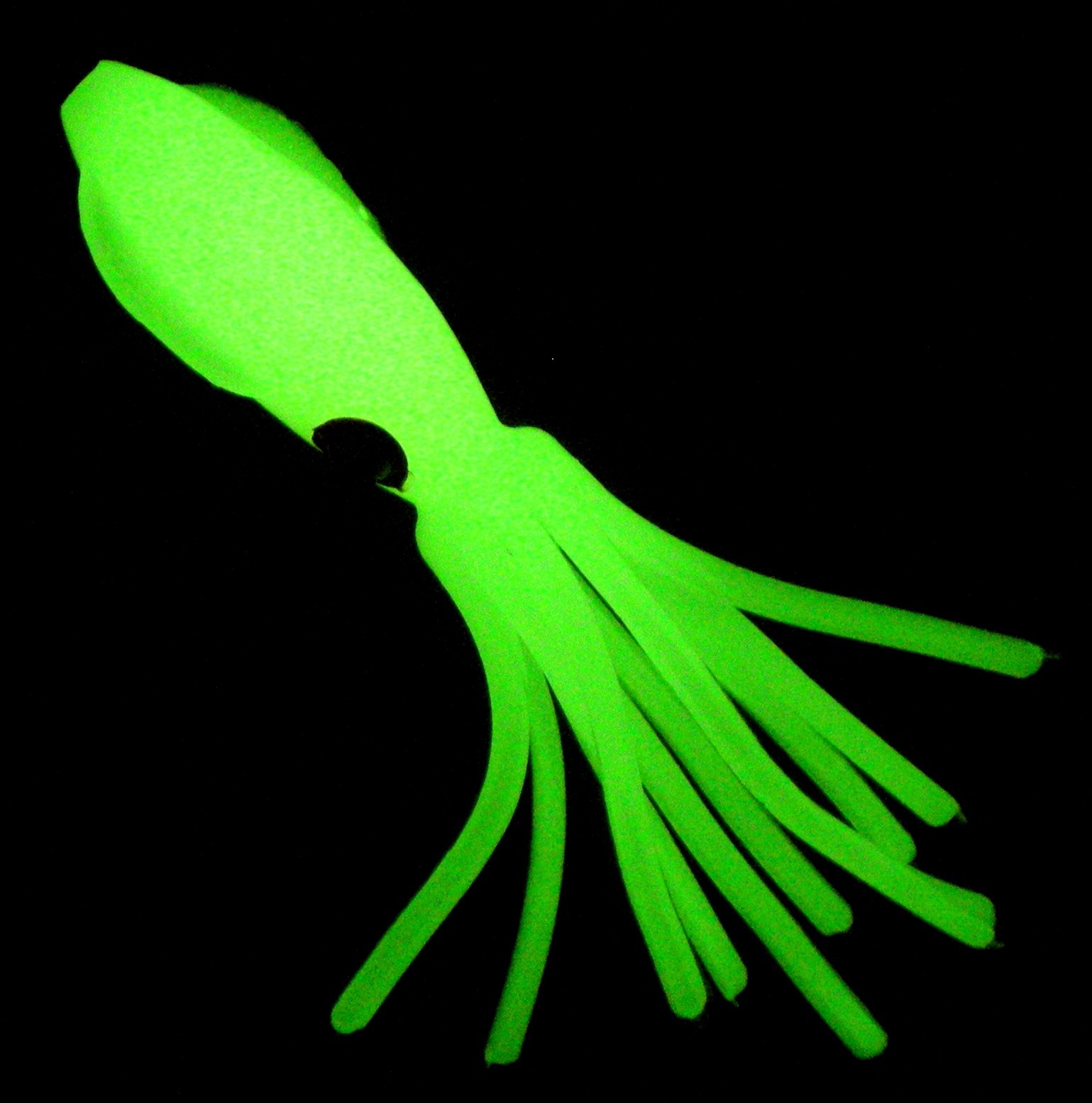 ORIGINAL B-2 SQUIDS 5 INCH LURES B2 SQUID BODIES GLOW FLUKE SEABASS | eBay