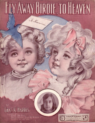 FLY AWAY BIRDIE, TO HEAVEN Music Sheet-1905-HARRIS-HACKETT-STARMER ...
