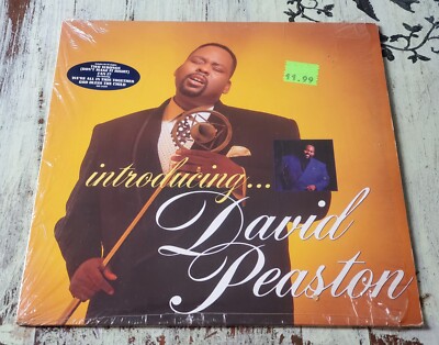 VG David Peaston – Introducing... (1989) Geffen Records – GHS 24228 LP, US | eBay