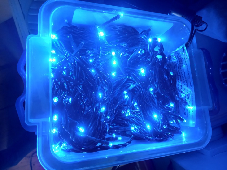 Homebase 160 Blue LED Multi-Effect Christmas Lights | eBay UK