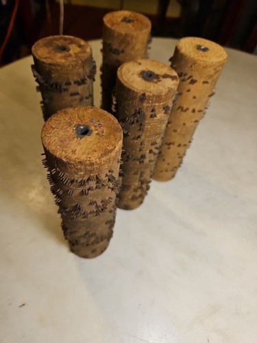 Antique Gem Or Concert Roller Organ Cobs Unknown Titles Restoration ...