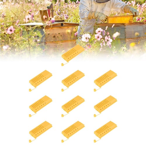 10 Pieces Queen Bee Cages Rearing Cup Push-pull Secure Housing ...