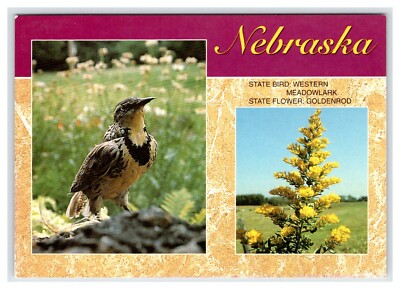 Nebraska State Facts Unused Vintage 4x6 Postcard EB325 | eBay