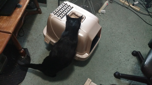 Van Ness CP7 Enclosed Cat Litter Pan - Blue for sale online | eBay