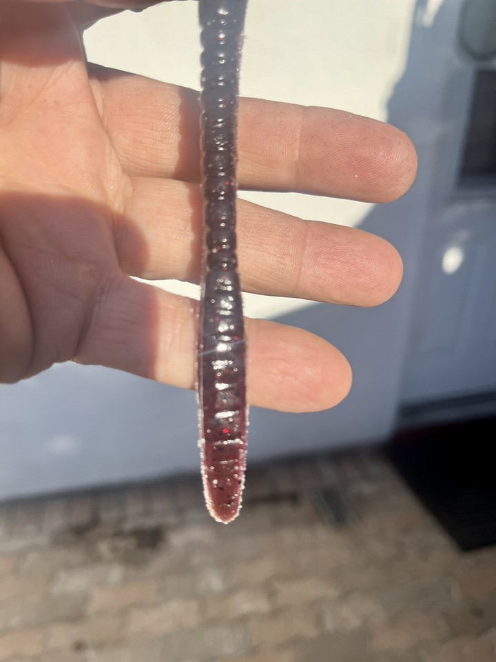 50 Hand Poured 6 inch Don Iovino style Spade Tail Plastic Worms. | eBay