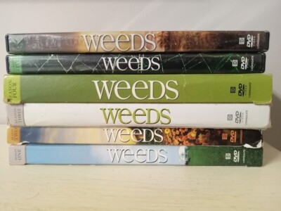 HBO's Weeds on DVD Series (Seasons 1-6) - Used in Good Condition | eBay