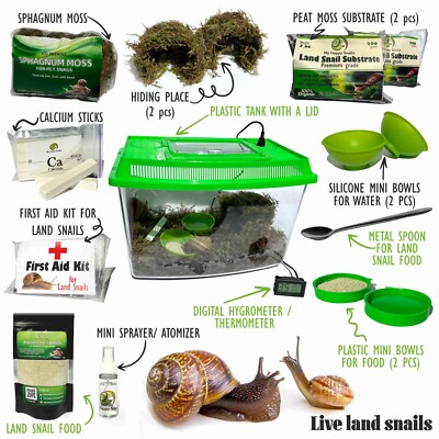 Pet Snail Starter Kit + 2 Live Garden Land Snails Helix Aspersa + Free ...