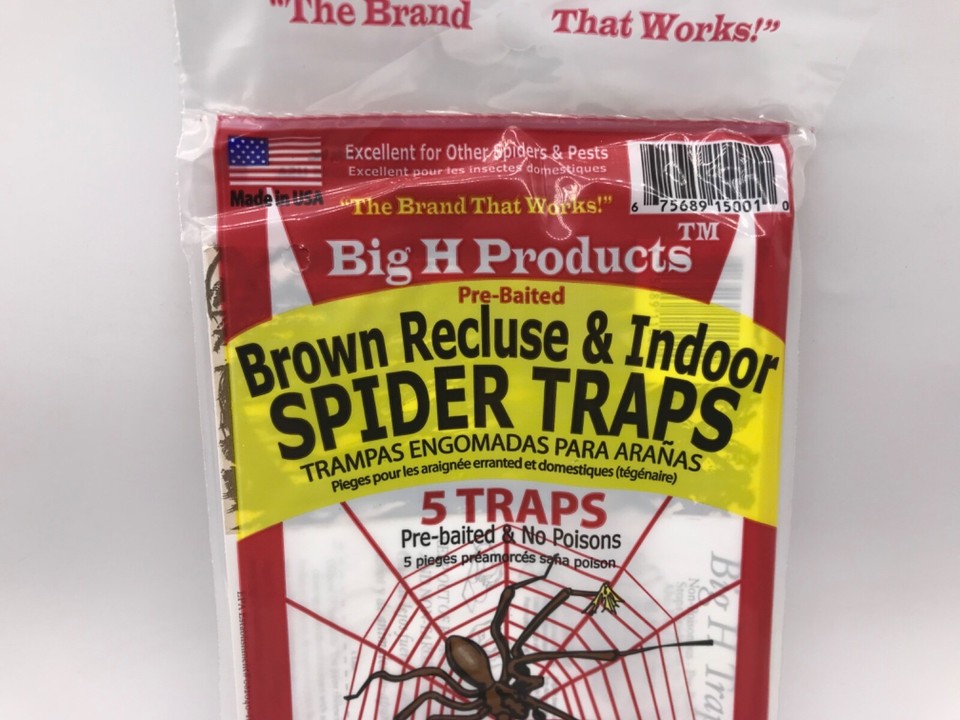 Big H Products Brown Recluse and Indoor Spider Traps 5-Pack | eBay