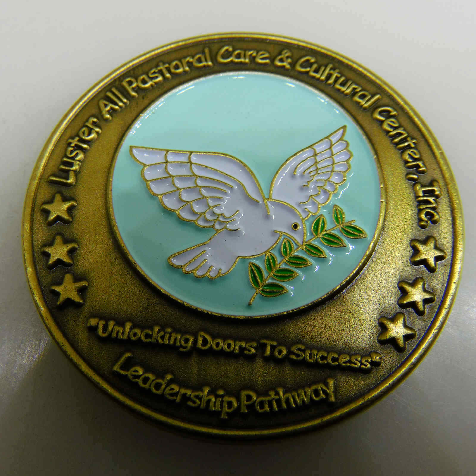 LEADERSHIP PATHWAY LUSTER ALL TRAINING CENTER OF HOPE CHALLENGE COIN | eBay