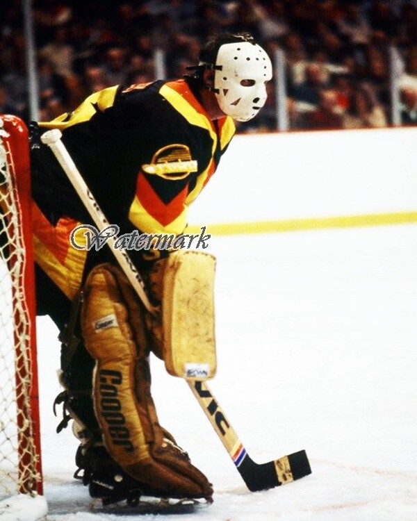 NHL Vancouver Canucks Goalie Curt Ridley Color 8 X 10 Photo Picture | eBay