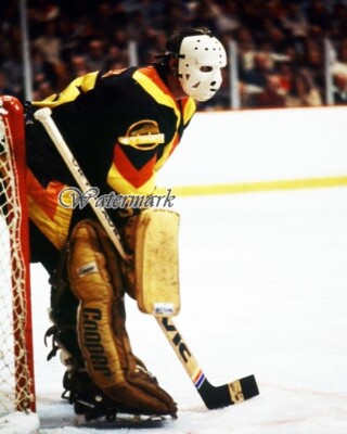 NHL Vancouver Canucks Goalie Curt Ridley Color 8 X 10 Photo Picture | eBay