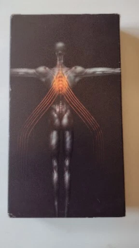 Tool Salival Album Art