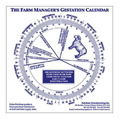 Sheep Gestation Calendar Calculate Birth Breeding 731141501407| eBay