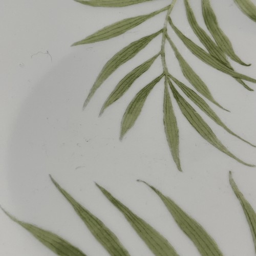 Corelle Vitrelle Bamboo Leaf Square 10.5" Green/White Dinner Plates Set ...