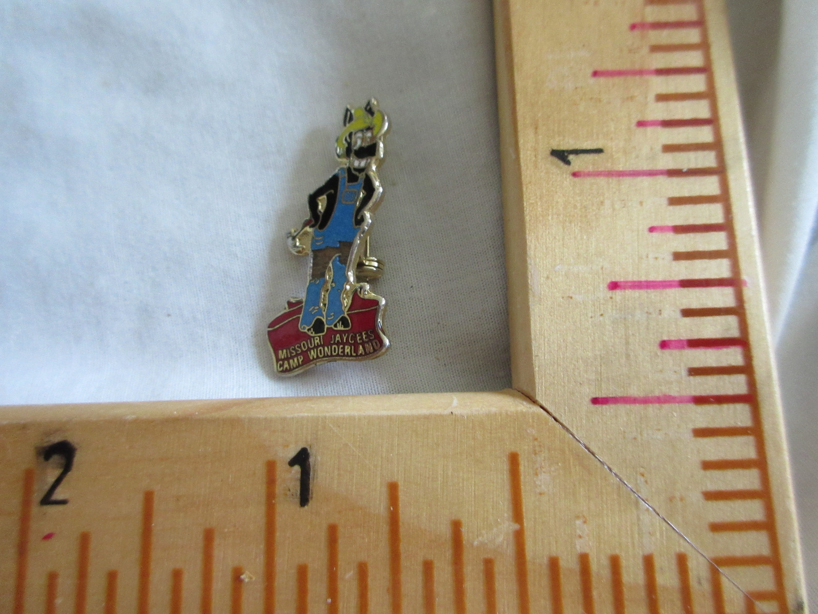 Vintage Dressed Donkey, Camp Wonderland, Missouri, pinback, pin, lapel ...