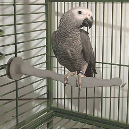 K & H HEATED THERMO BIRD PERCH for Large Birds | eBay