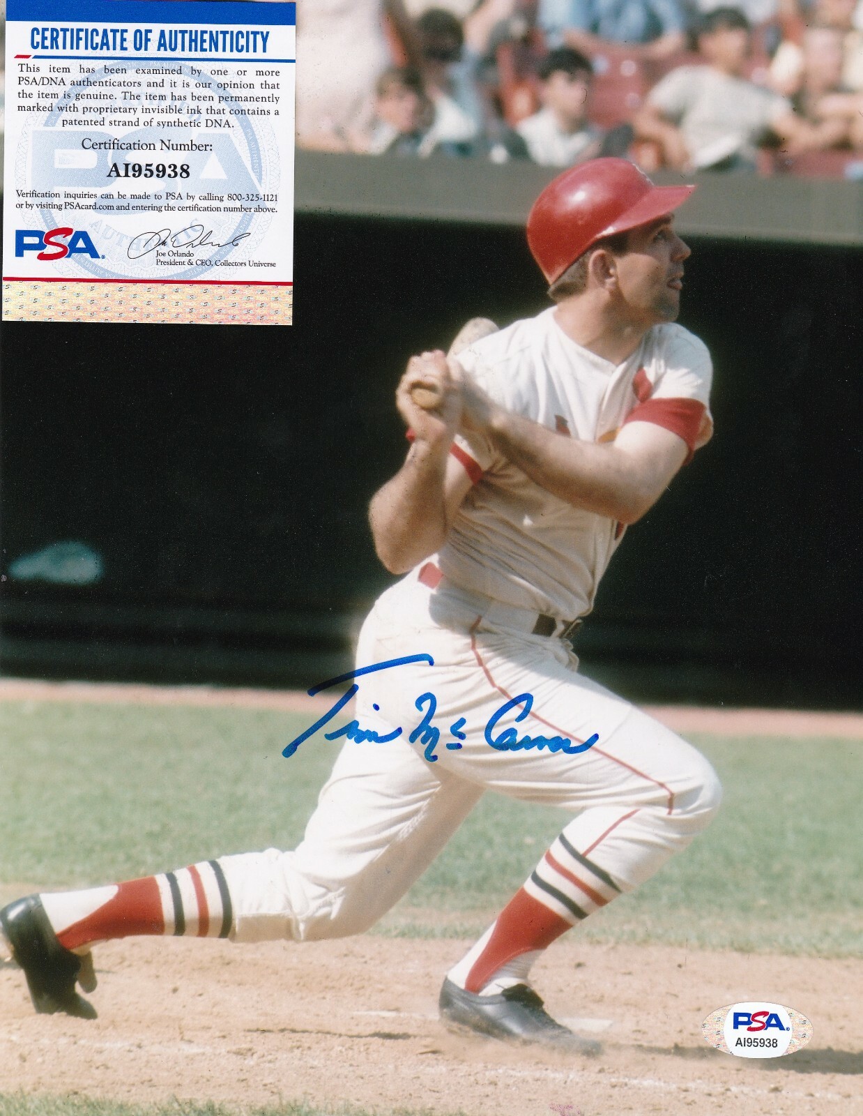 TIM MCCARVER ST. LOUIS CARDINALS PSA AUTHENTICATED ACTION SIGNED 8x10 ...